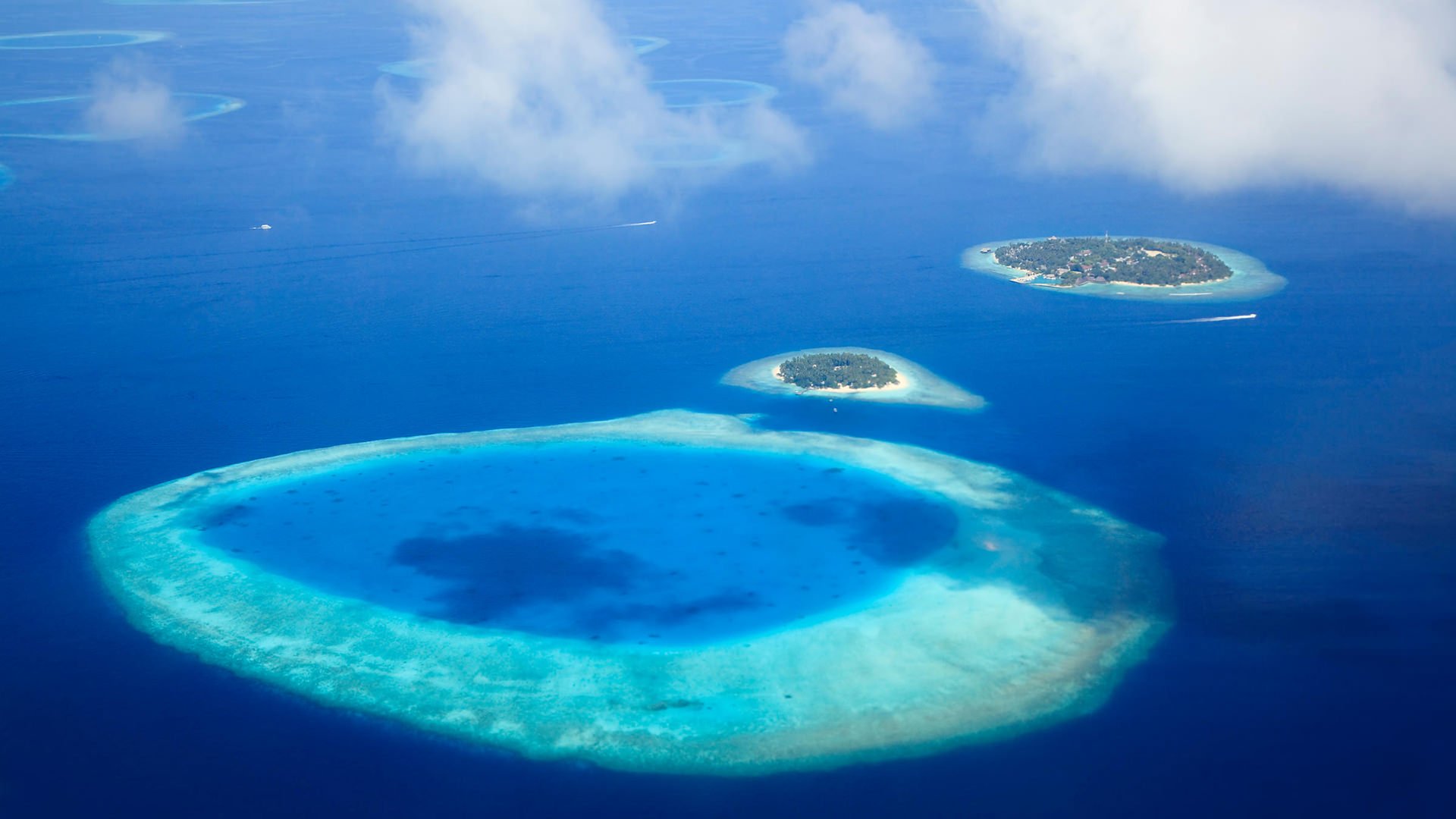 Luxury South Male Atoll Holidays & Tours 2023/24 | True Travel