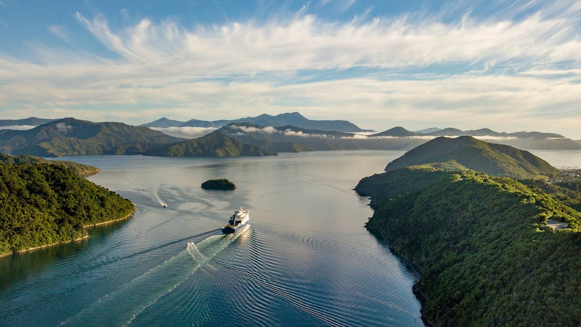 A Guide to Whale Watching in New Zealand | Journal | True Travel