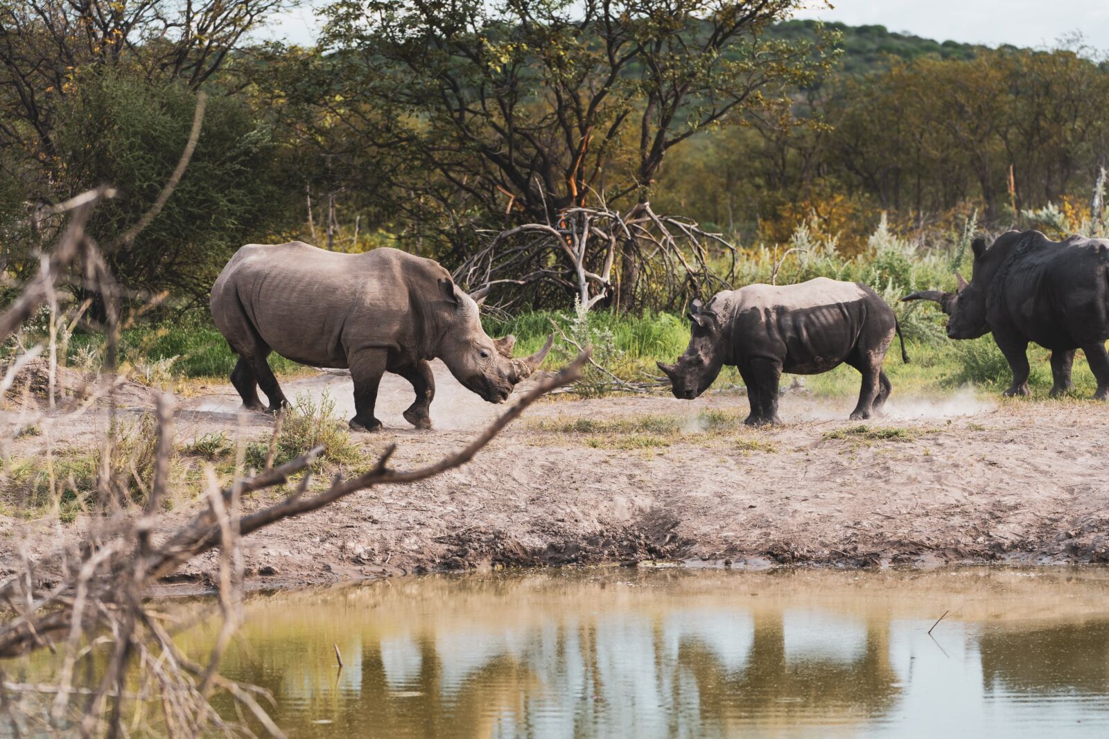 Tailor-made Travel to Caprivi Strip | Namibia by True Travel