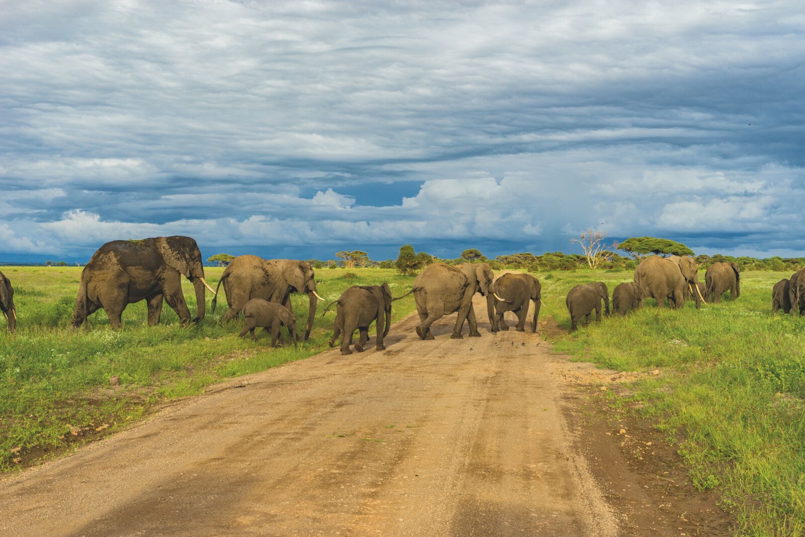 The Best Time to Visit Zambia | A Month by Month Guide by True Travel