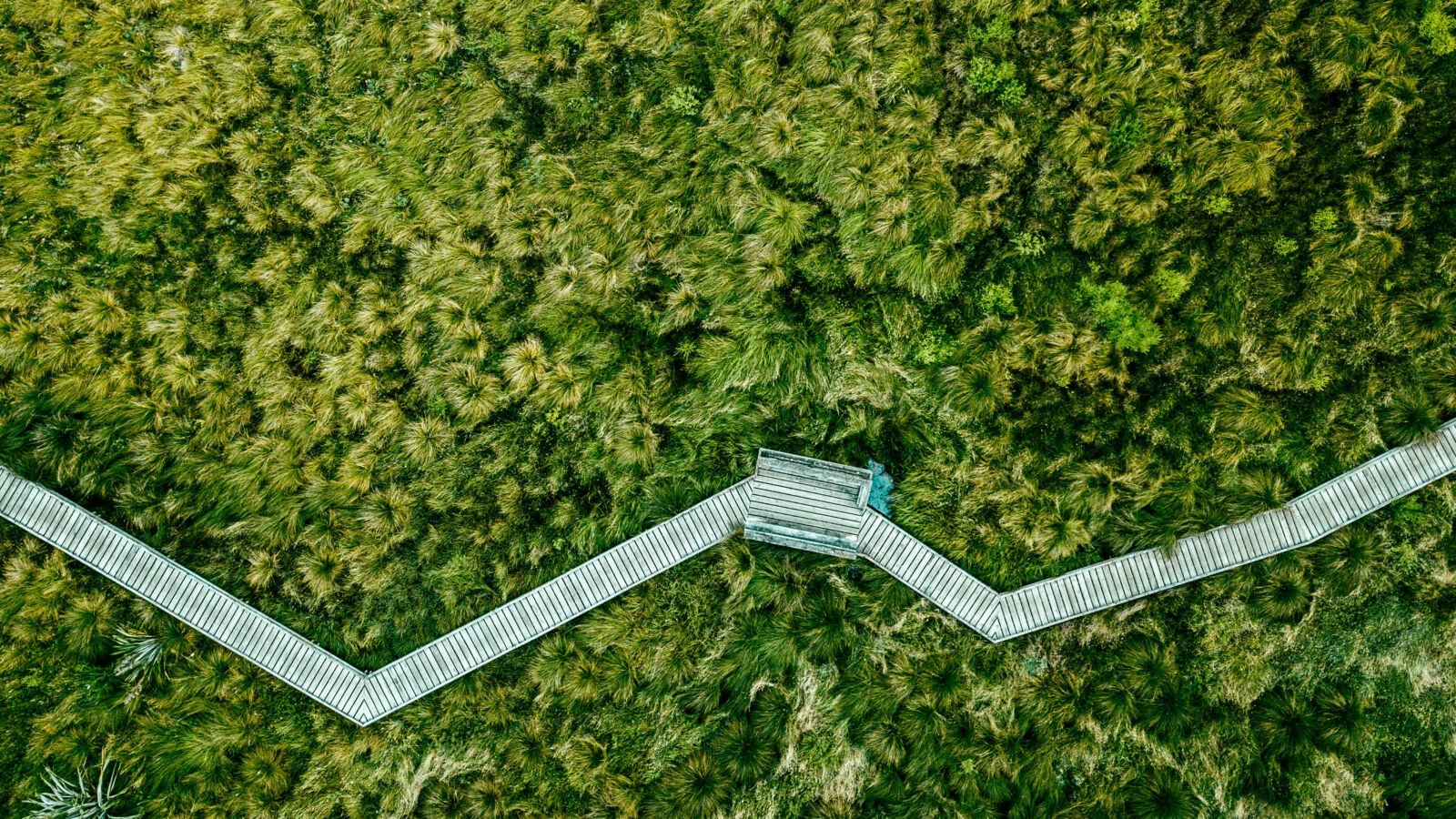 True Travel 2022 Impact Report | Journal | True Travel