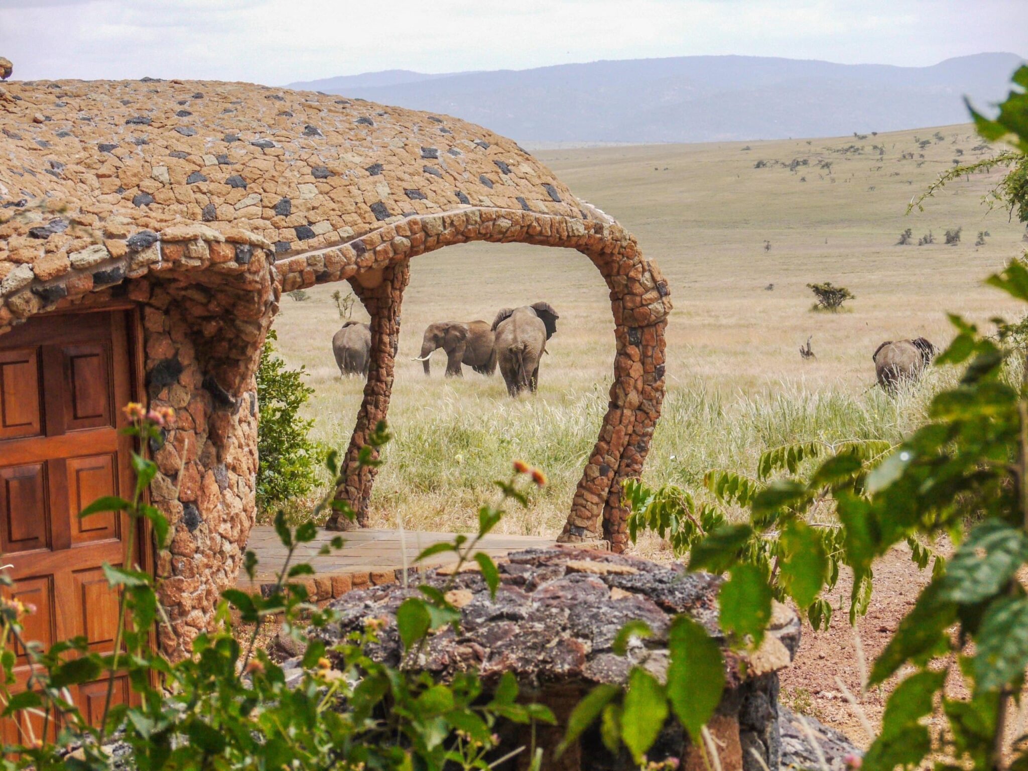 Lewa House in Laikipia, Kenya | True Travel