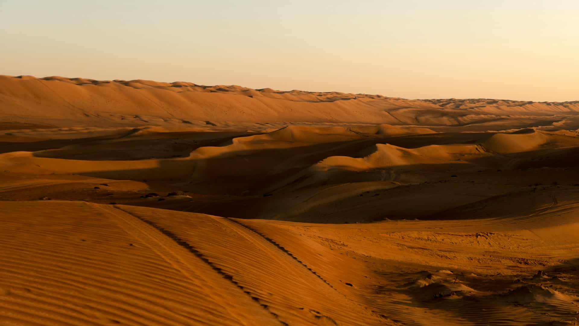 The Best of Oman & Jordan | Tailor-made Travel from True Travel