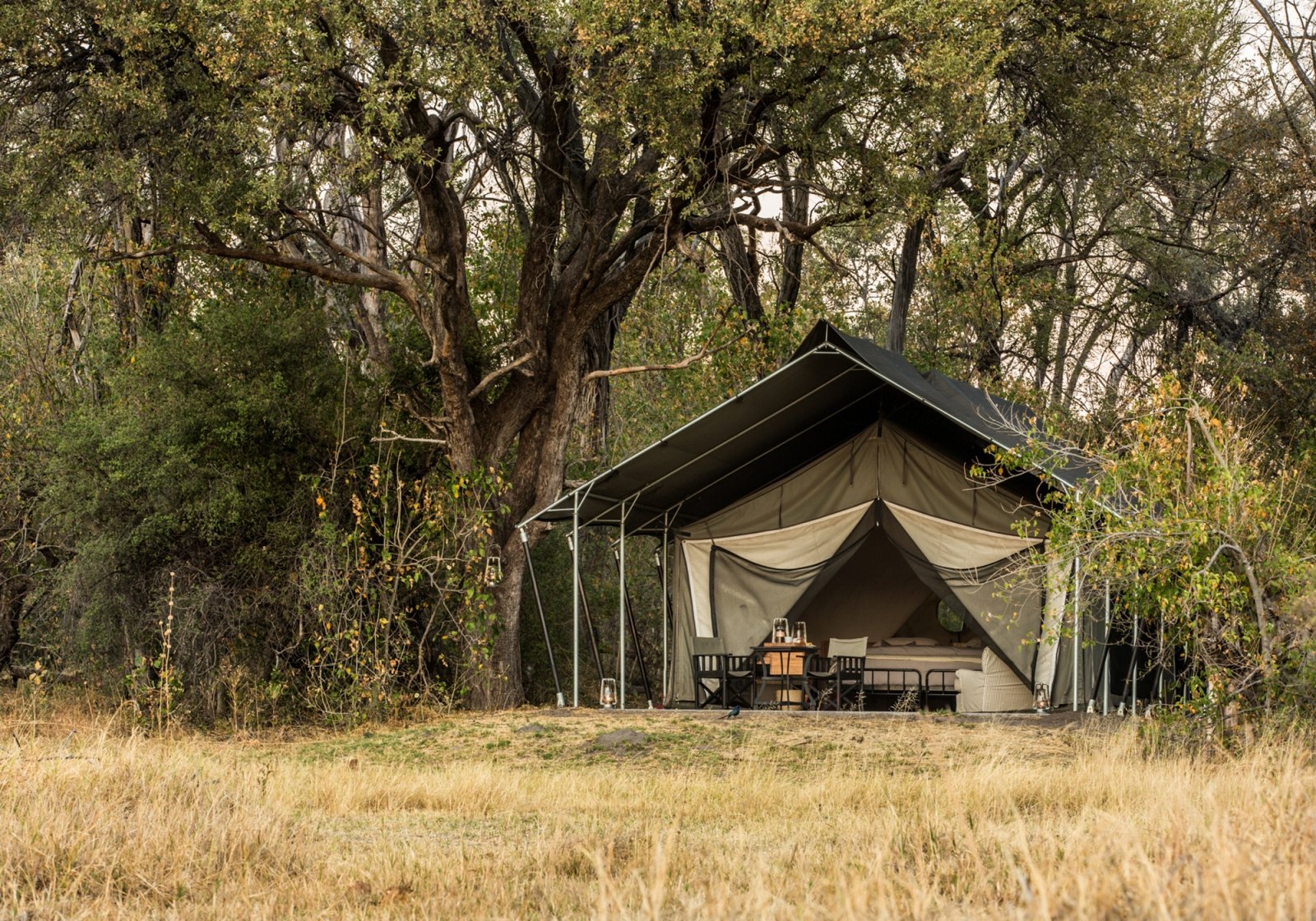 Machaba Camp in The Khwai Concession, Botswana | True Travel