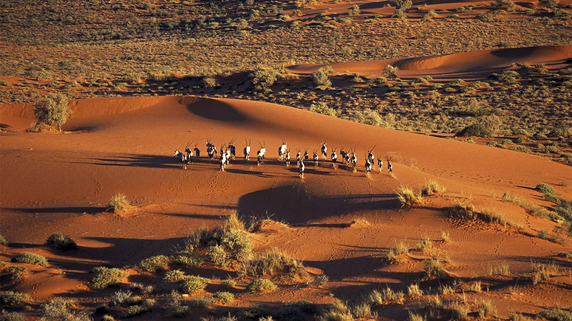 Tailor-made Travel to The Kalahari Desert | by True Travel